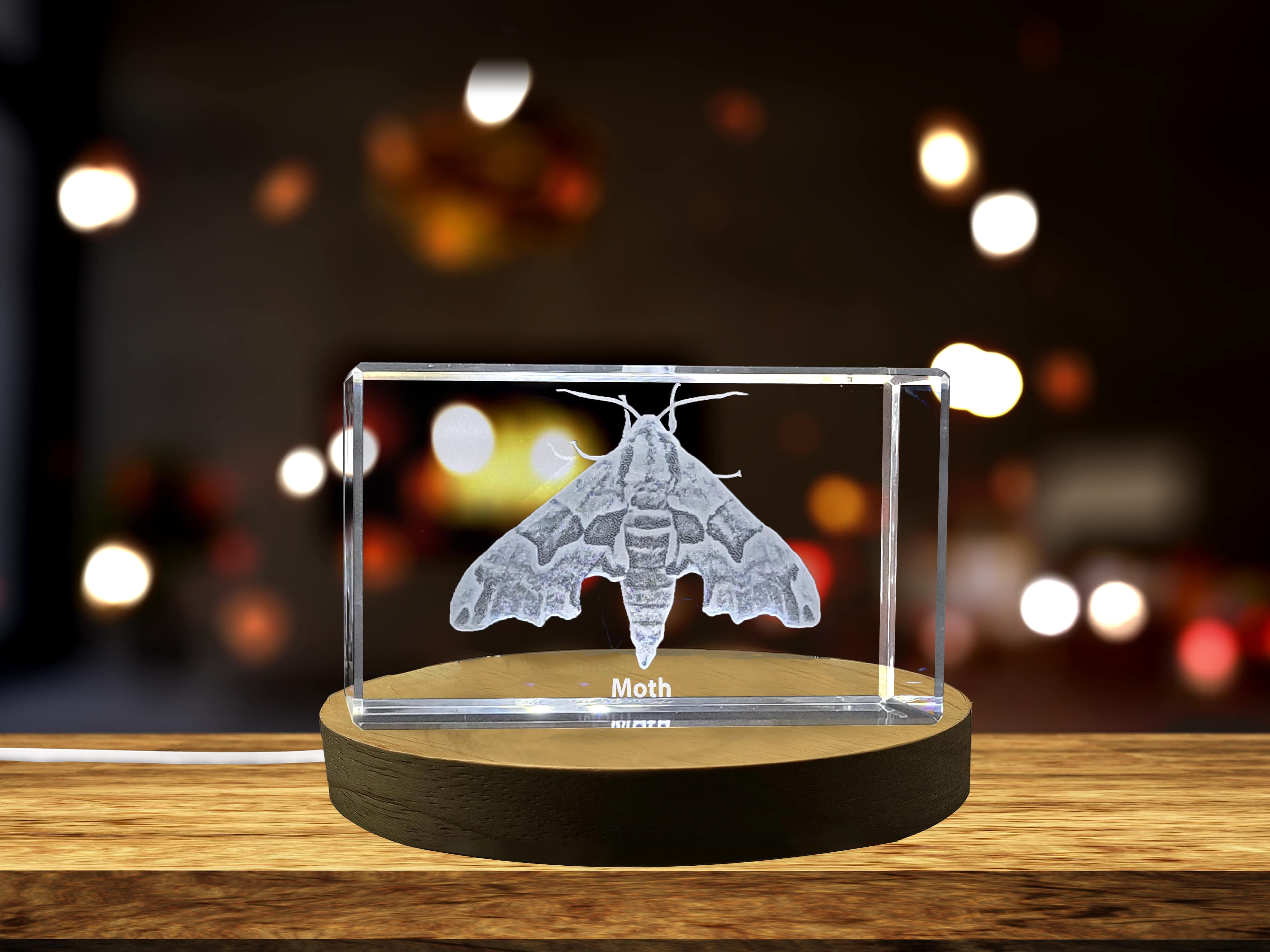Intricate Moth Crystal Carvings | Exquisite Gems Etched | Clear | AB ...