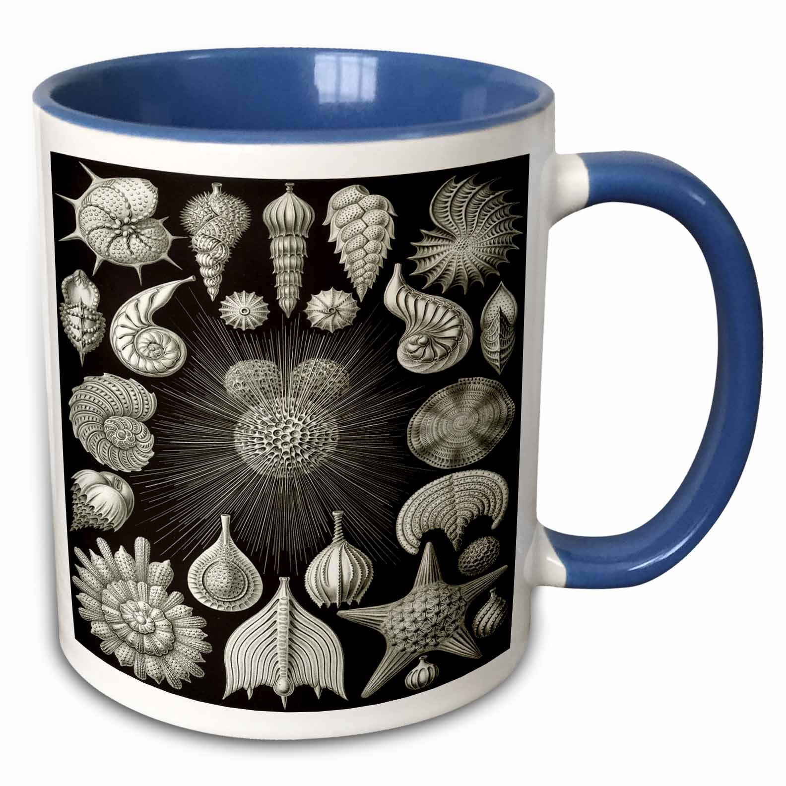 Intricate illustration of sea shells 11oz Two-Tone Blue Mug mug-307844-6 - Walmart.com