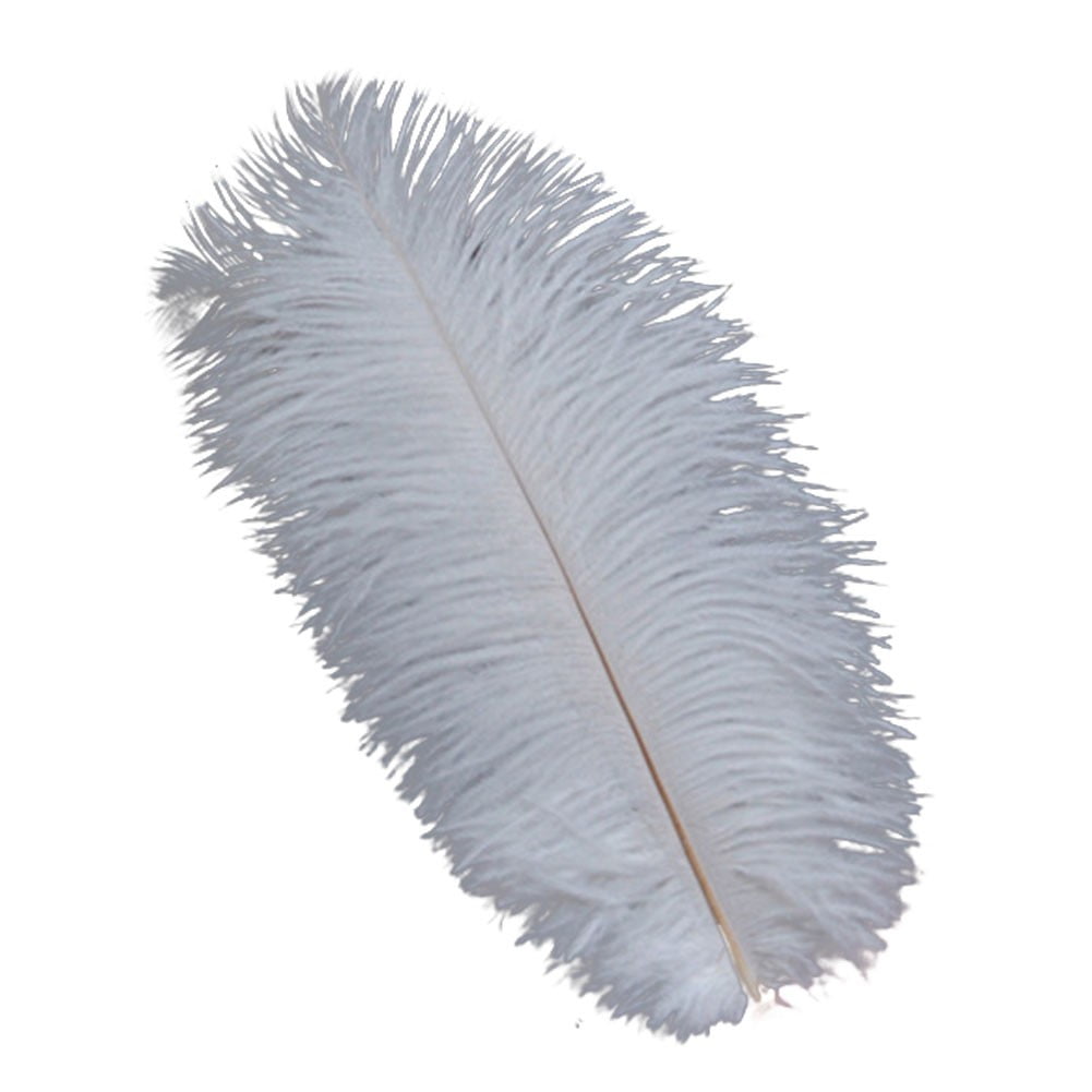 Intricately Designed Ostrich Feathers: Perfect for creating visually ...