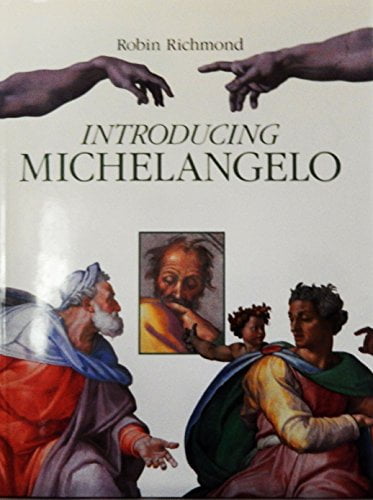 Pre-Owned Introducing Michelangelo (Hardcover) 0316744409 9780316744409 ...