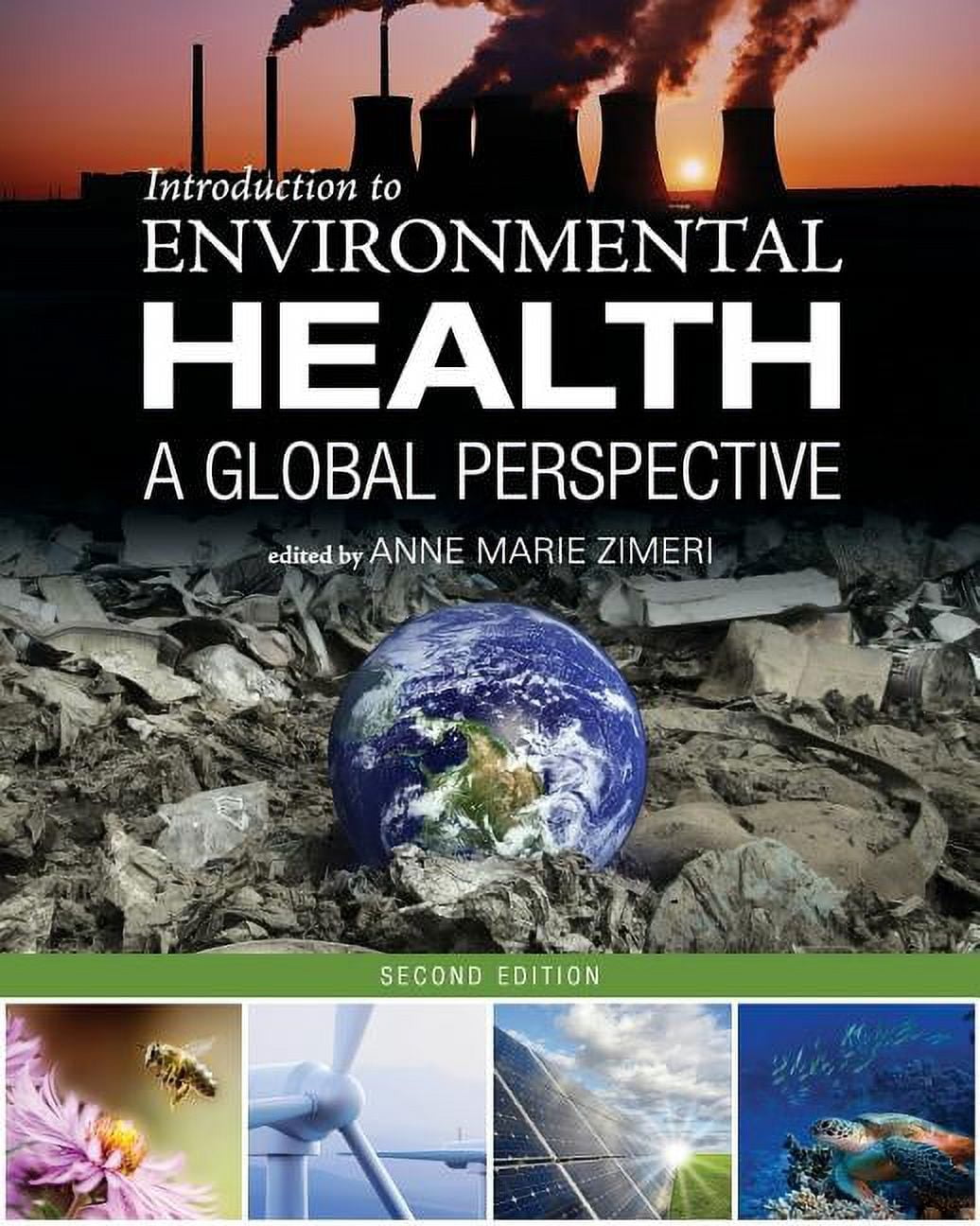 Introduction to Environmental Health: A Global Perspective (Paperback ...