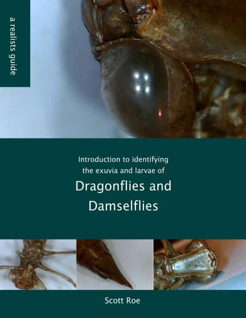 Introduction to Identifying the Exuvia and Larvae of Dragonflies ...