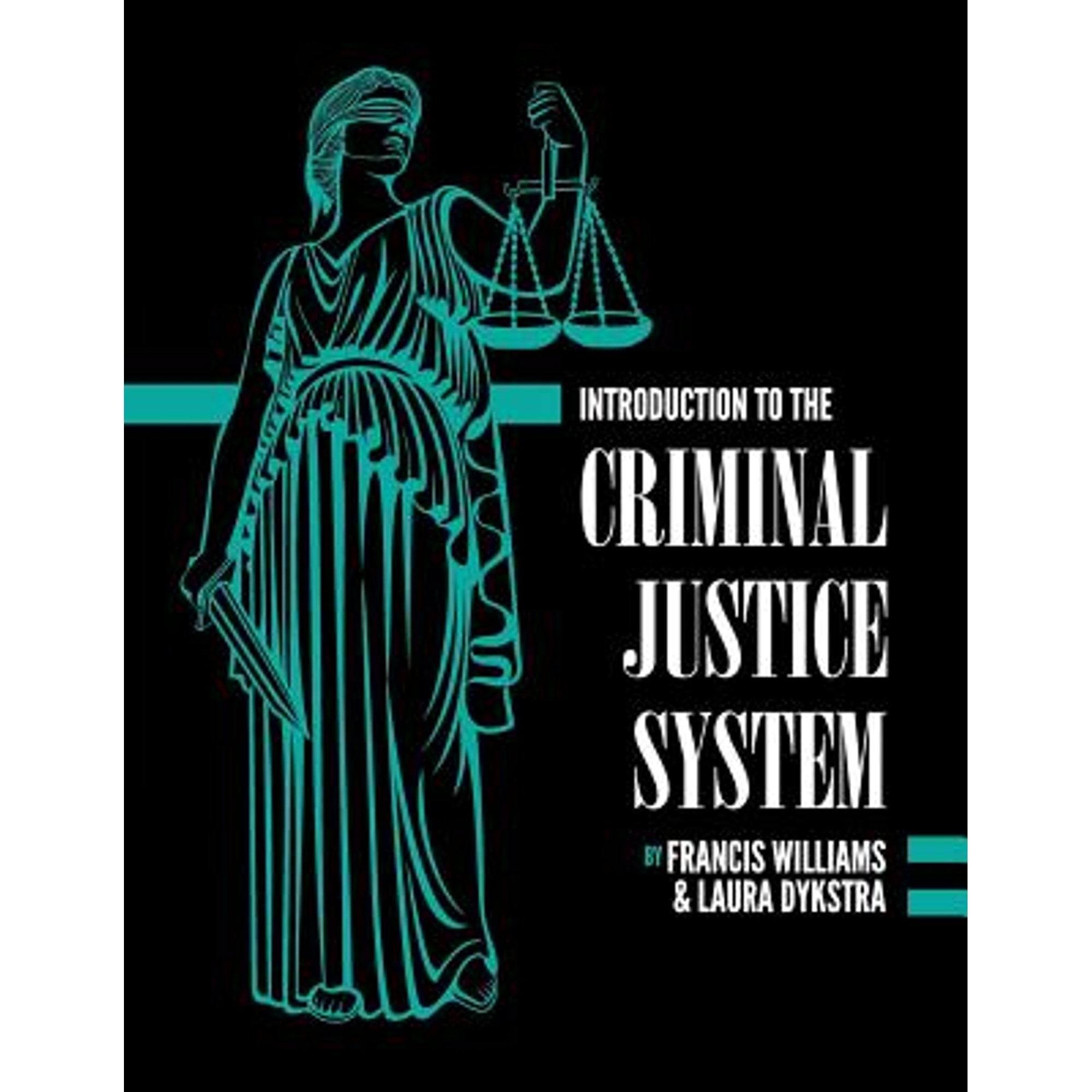 Pre-Owned Introduction to the Criminal Justice System: A Practical ...