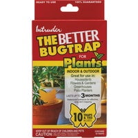 Intruder The Better Bugtrap For Plants 10PK, Each - Walmart.com