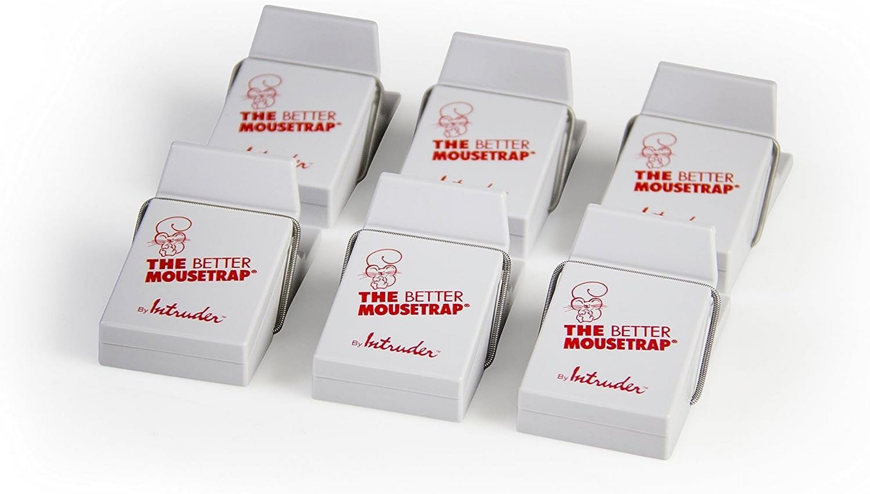 Intruder's The Better Mousetrap 6 Pack - Walmart.com