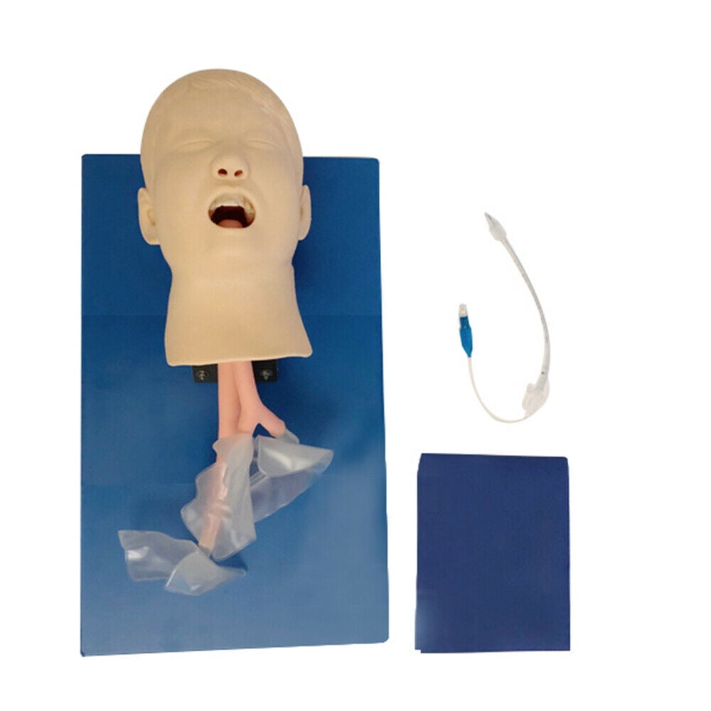 Intubation Manikin Oral Nasal Training Teaching Model Airway Manage ...