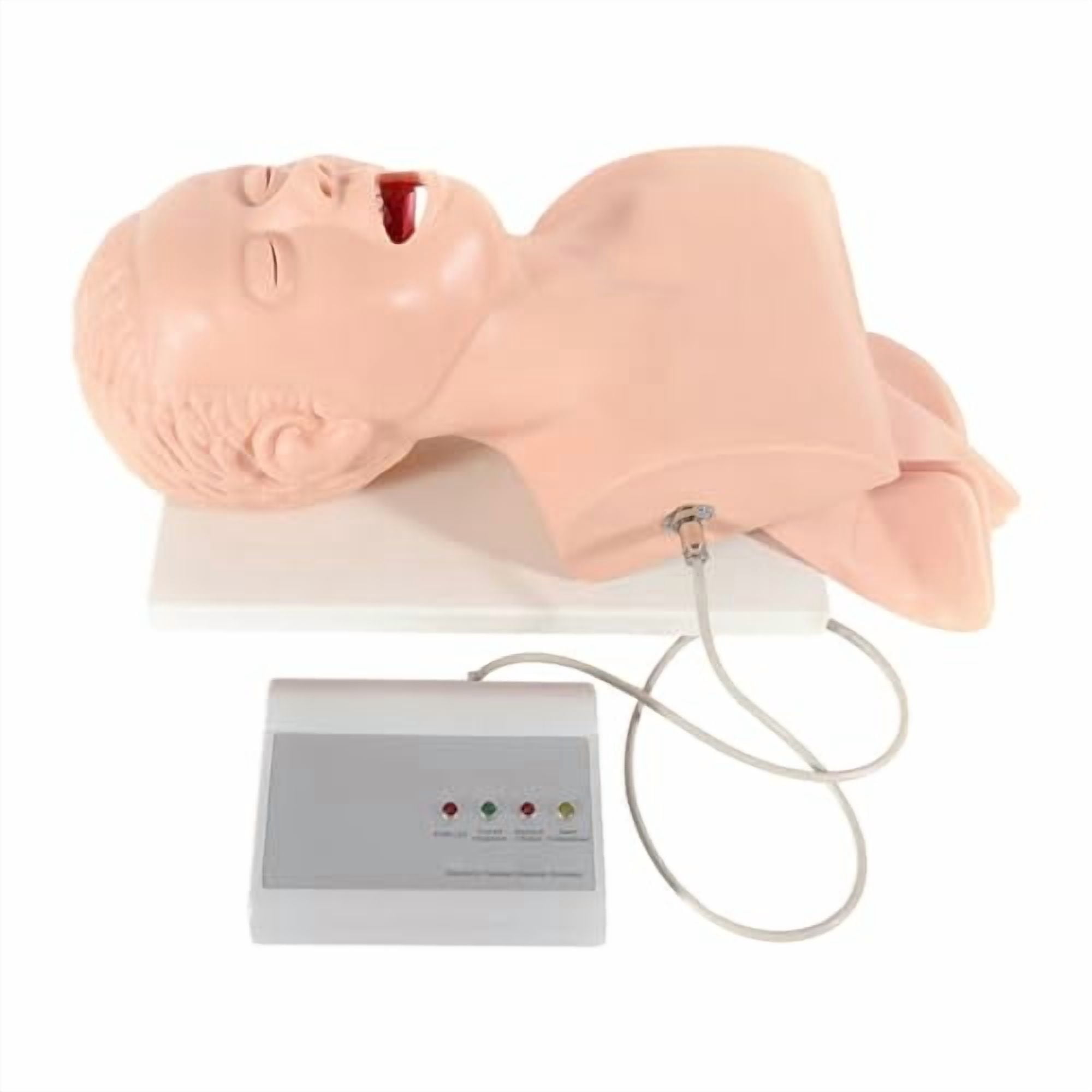 Intubation Manikin Study Teaching Model, Intubation Manikin Study PVC ...