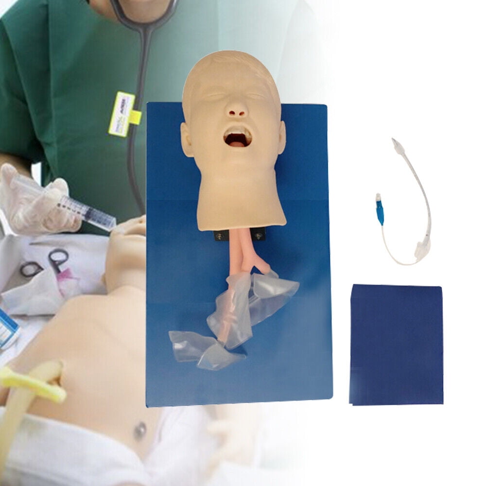 Intubation Manikin Study Teaching Training Model Airway Management ...