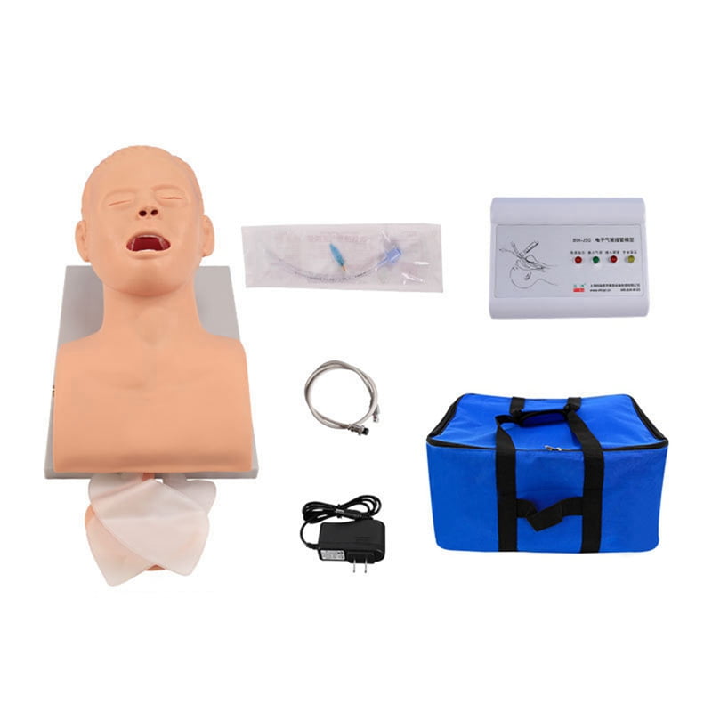 Intubation Model Teaching Model, 110V Adult Airway Management Trainer ...