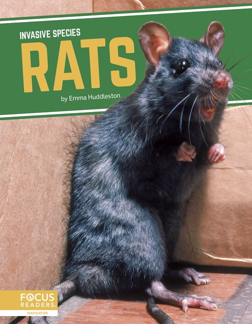 Rats, (Hardcover) - Walmart Business Supplies