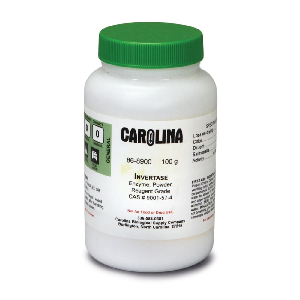 Carolina Biological Supply Company Invertase Powder, Reagent Grade, 100 ...