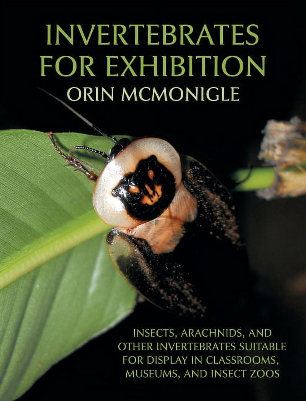 Invertebrates For Exhibition: Insects, Arachnids, and Other ...