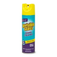 Spic and Span Multipurpose Cinch Glass Cleaner Liquid, 32.0 FL OZ ...