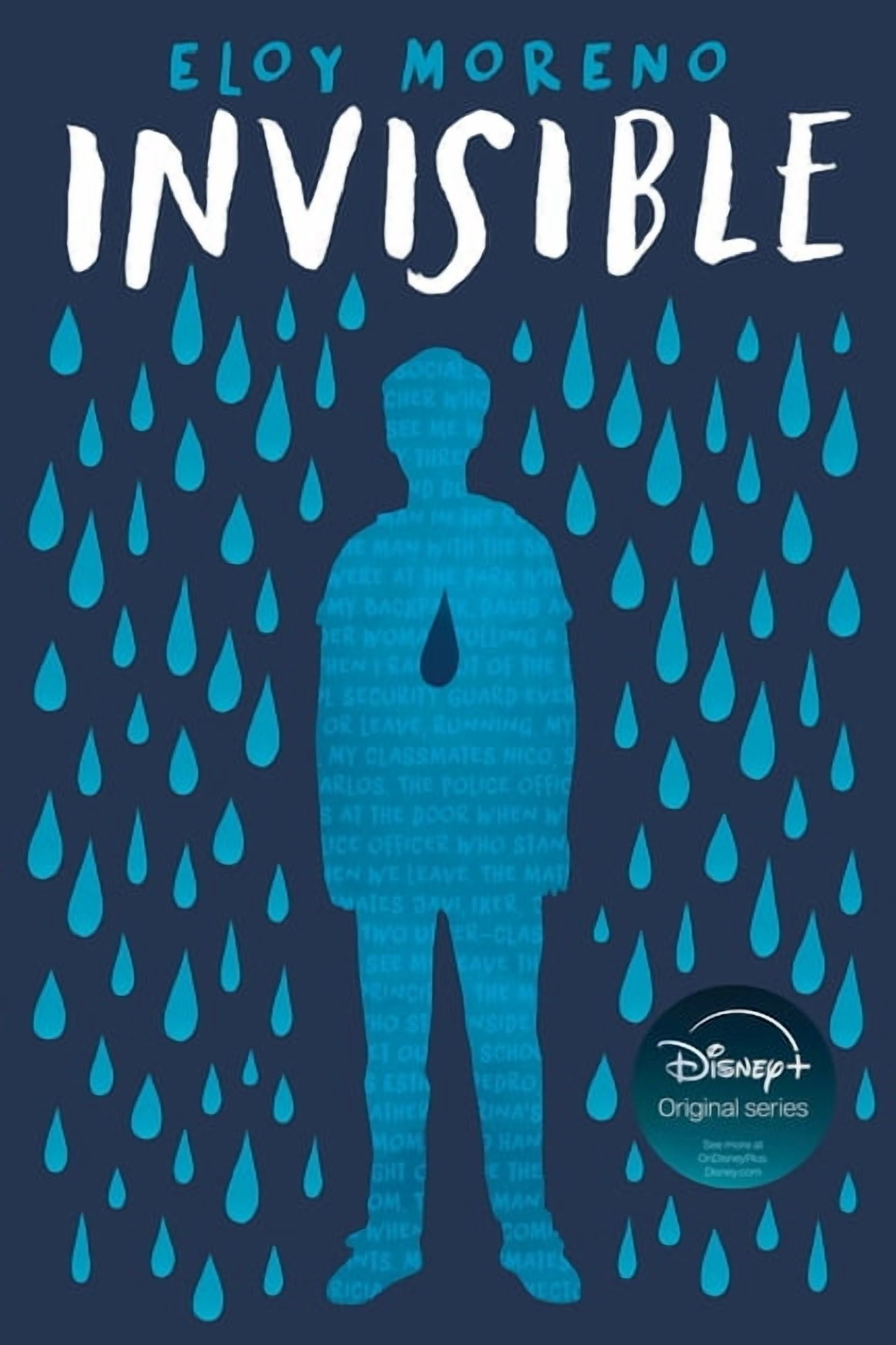 Invisible, (Hardcover) - Walmart.com