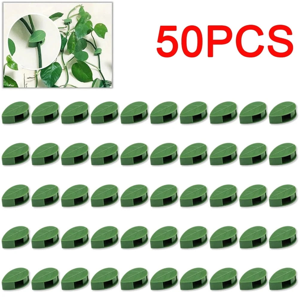 Invisible Plant Climbing Wall Fixture Clips 10-50Pcs PcsRattan Vine ...