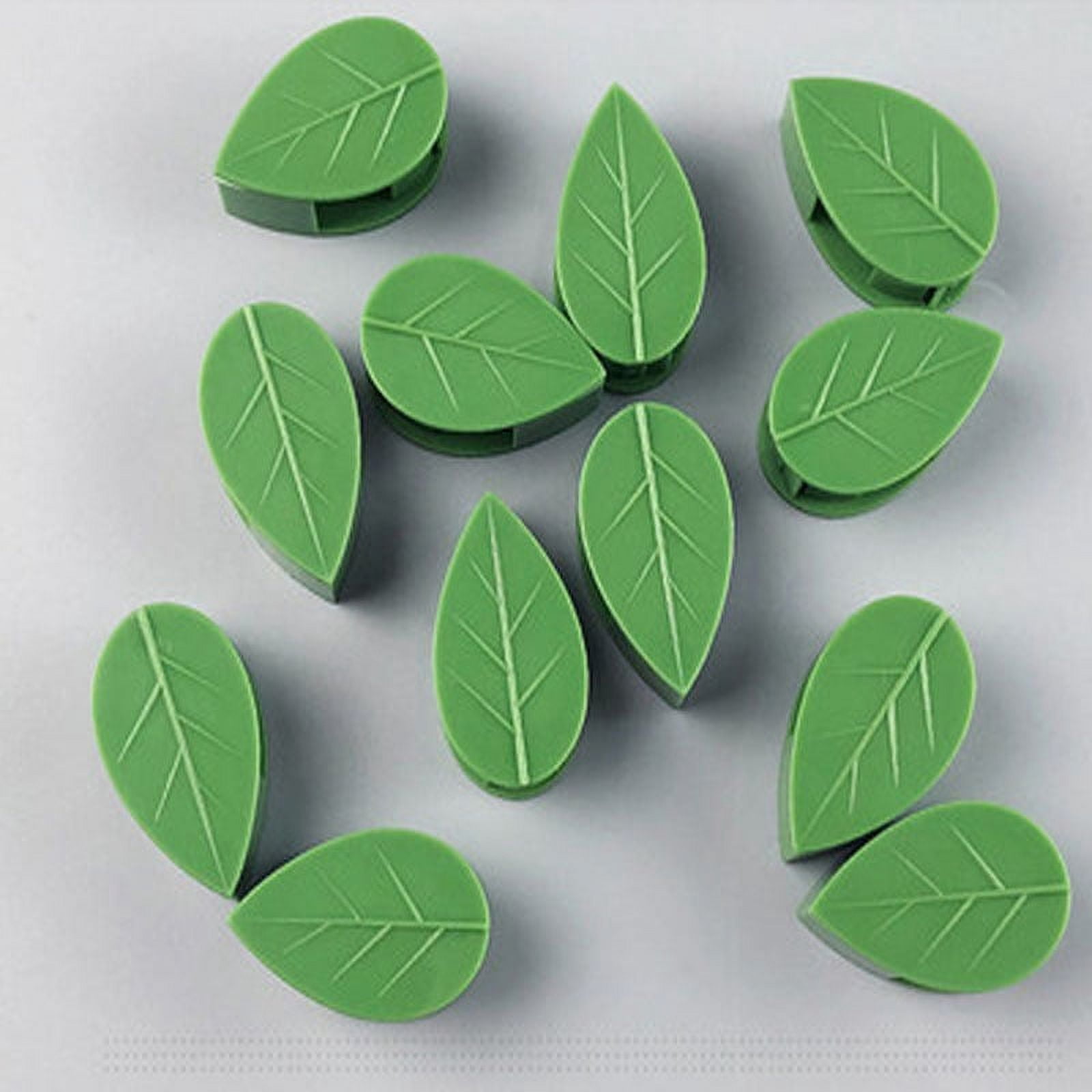 Invisible Plant Climbing Wall Fixture Rattan Vine Bracket Fixed Buckle ...