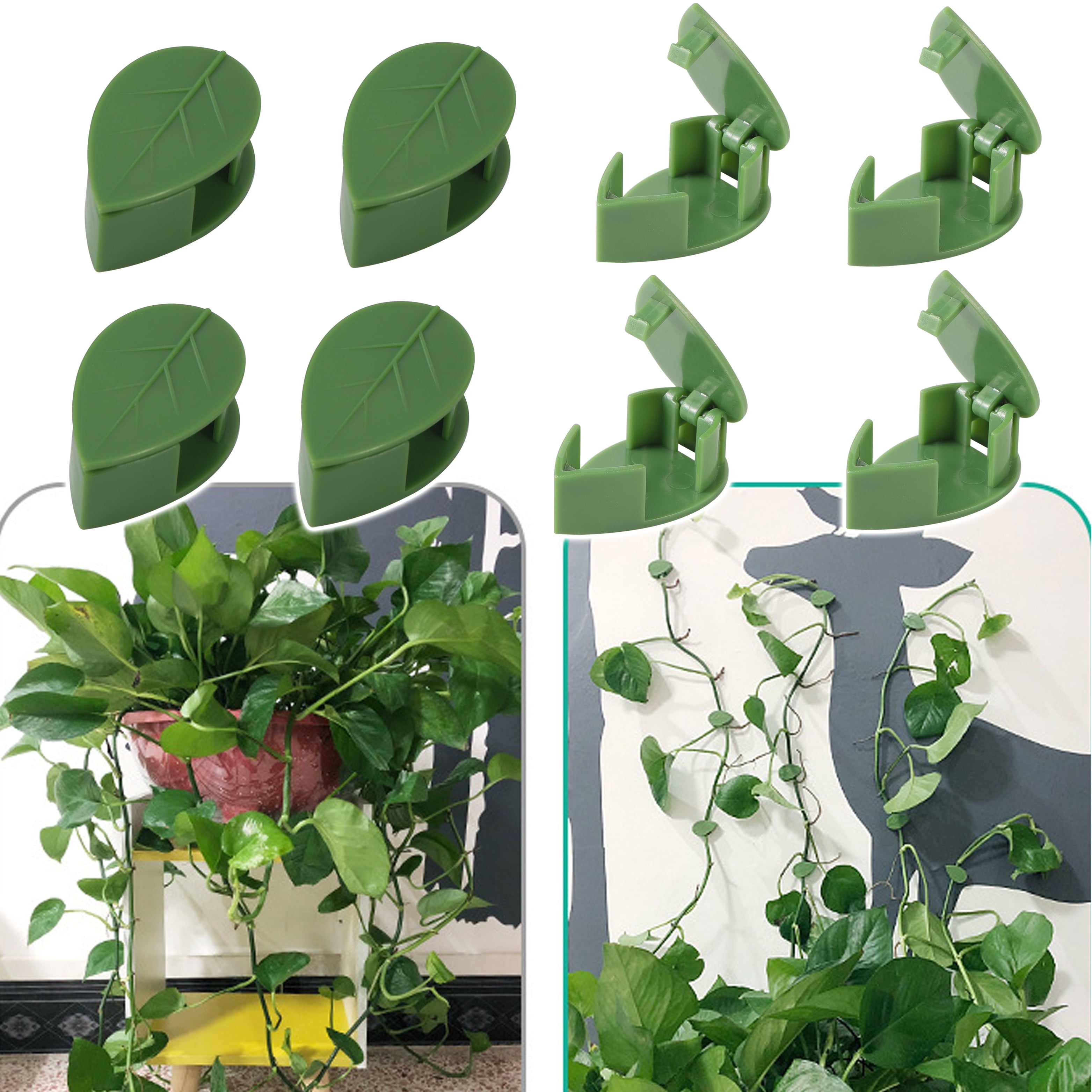 Invisible Plant Climbing Wall Self-Adhesive Fixture Rattan Vine Fixed ...
