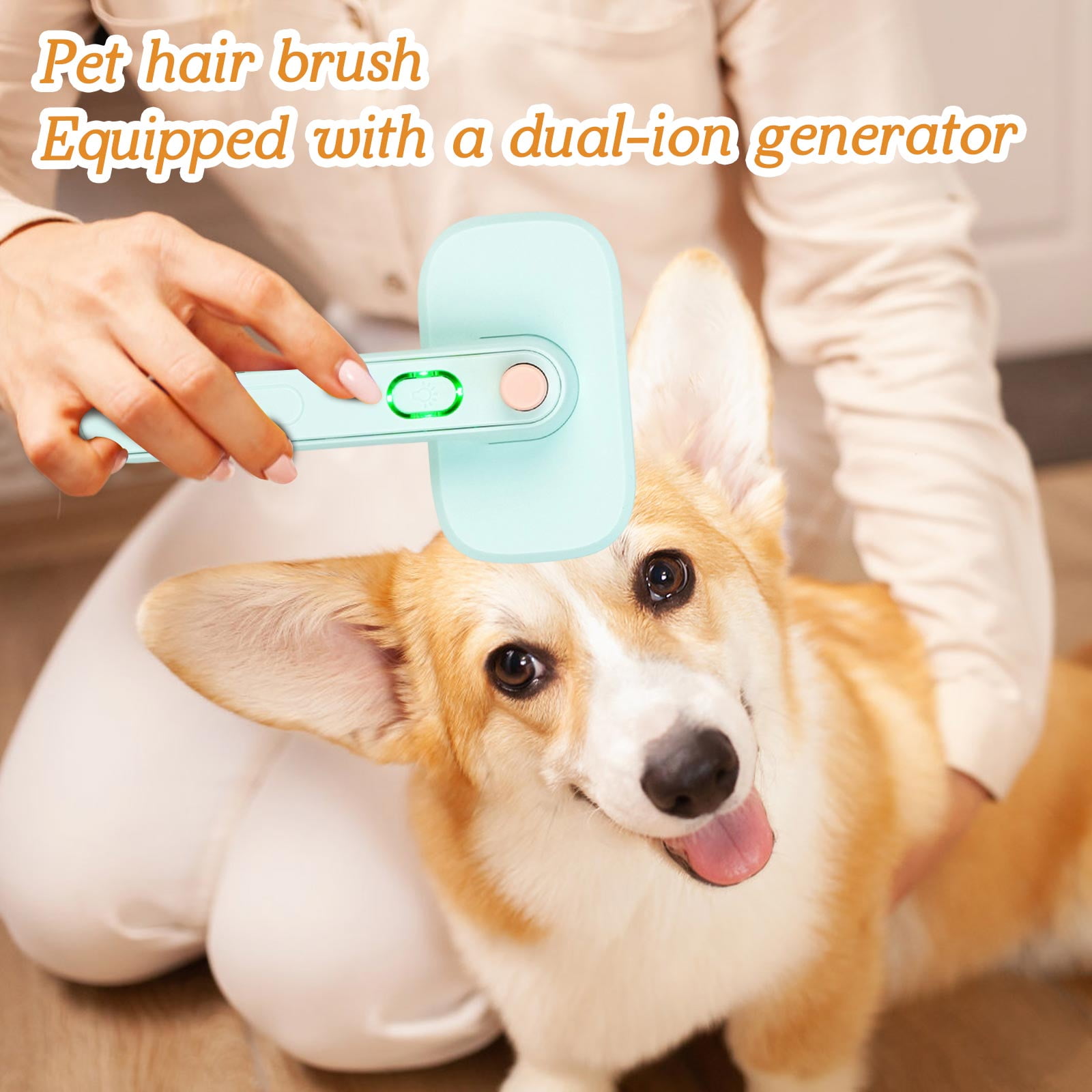 Ion Pet Grooming Brush Double Ion Technology, Self Cleaning Grooming ...