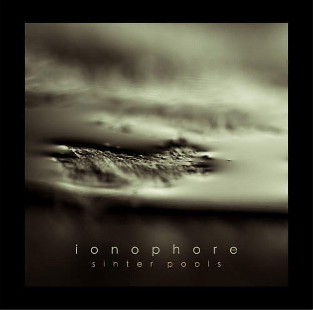 Ionophore - Sinter Pools - Music & Performance - CD - Walmart.com
