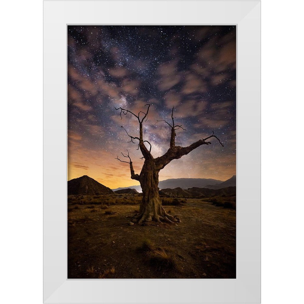 Ionut Dascalu, Andrei 23x32 White Modern Wood Framed Museum Art Print ...