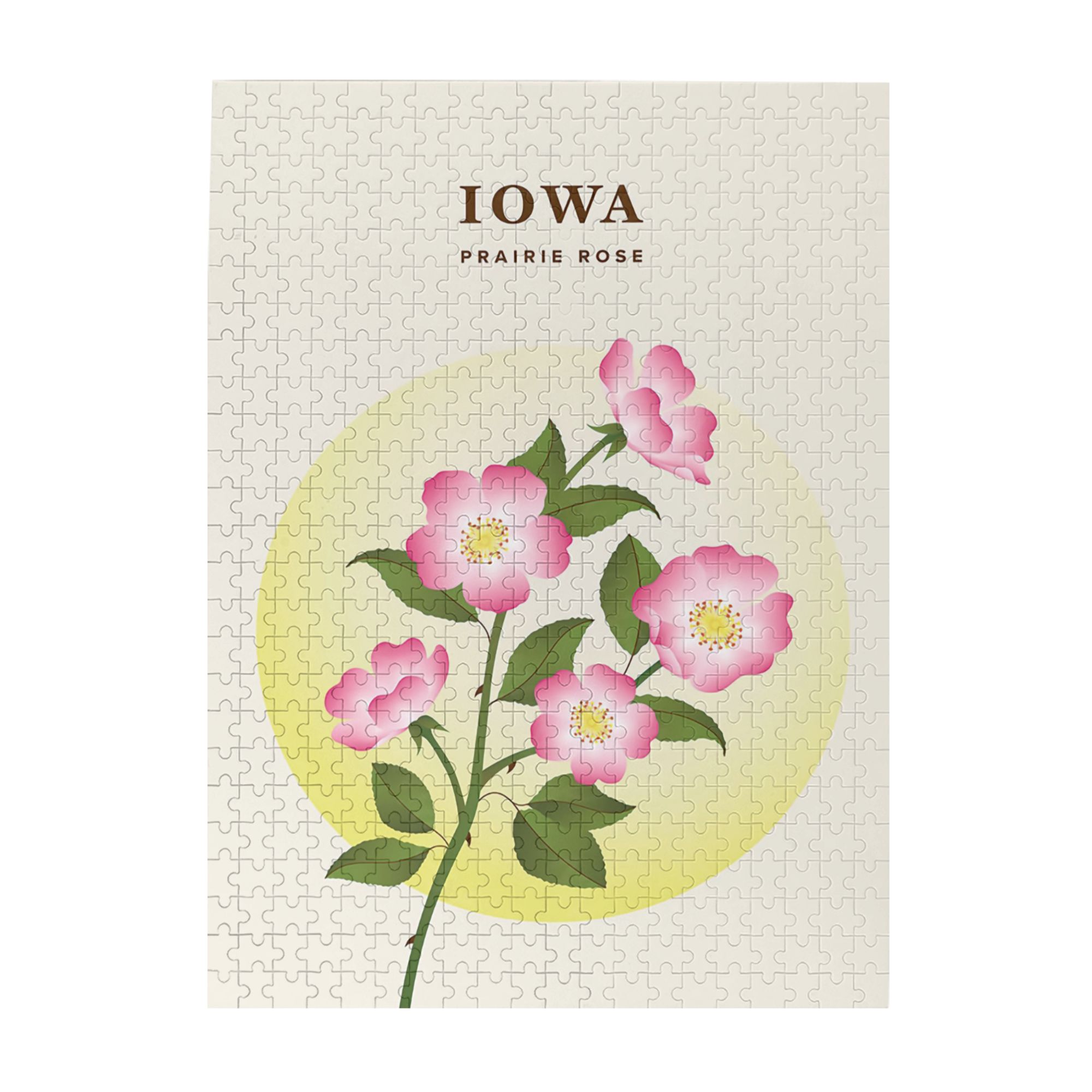 Iowa Print – Iowa State Flower Puzzle, Prairie Rose Illustration, Iowa ...