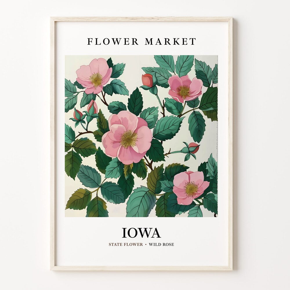 Iowa State Flower Art Print, Wild Rose 1960S Wall Art, Neutral ...