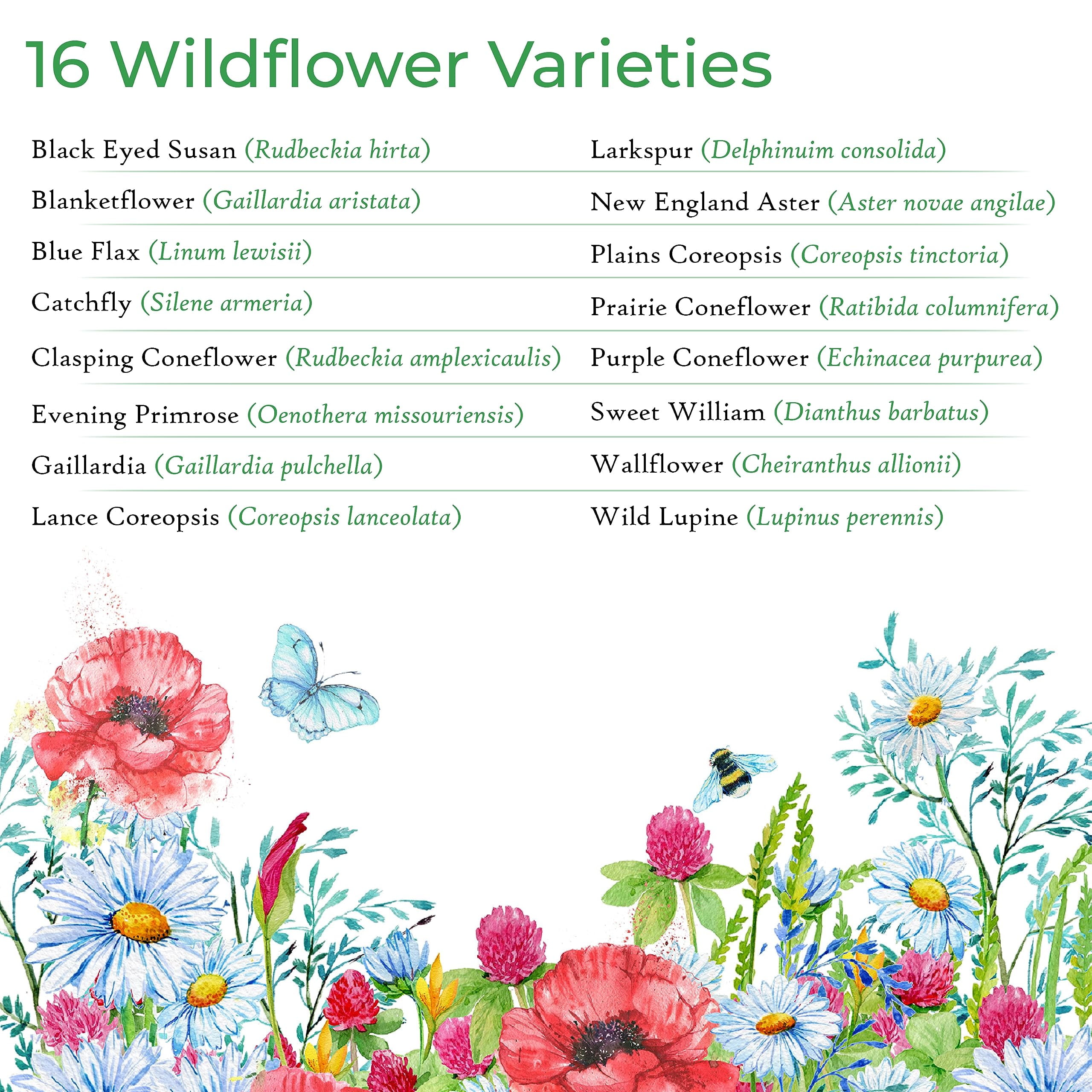 Iowa Wildflower Seed FEV6 Mix, Covers 325 Sq Ft, 16 Flower Varieties ...