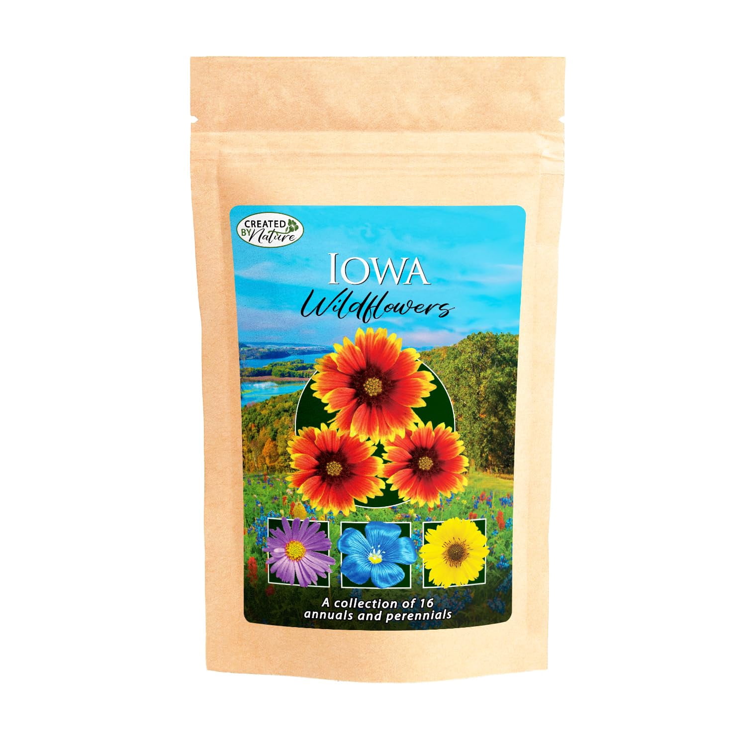 Iowa Wildflower Seed Mix, Covers 325 BSL1 Sq Ft, 16 Flower Varieties ...