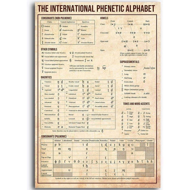 Ipa Knowledge Aluminum Poster The International Phonetic Alphabet Metal ...