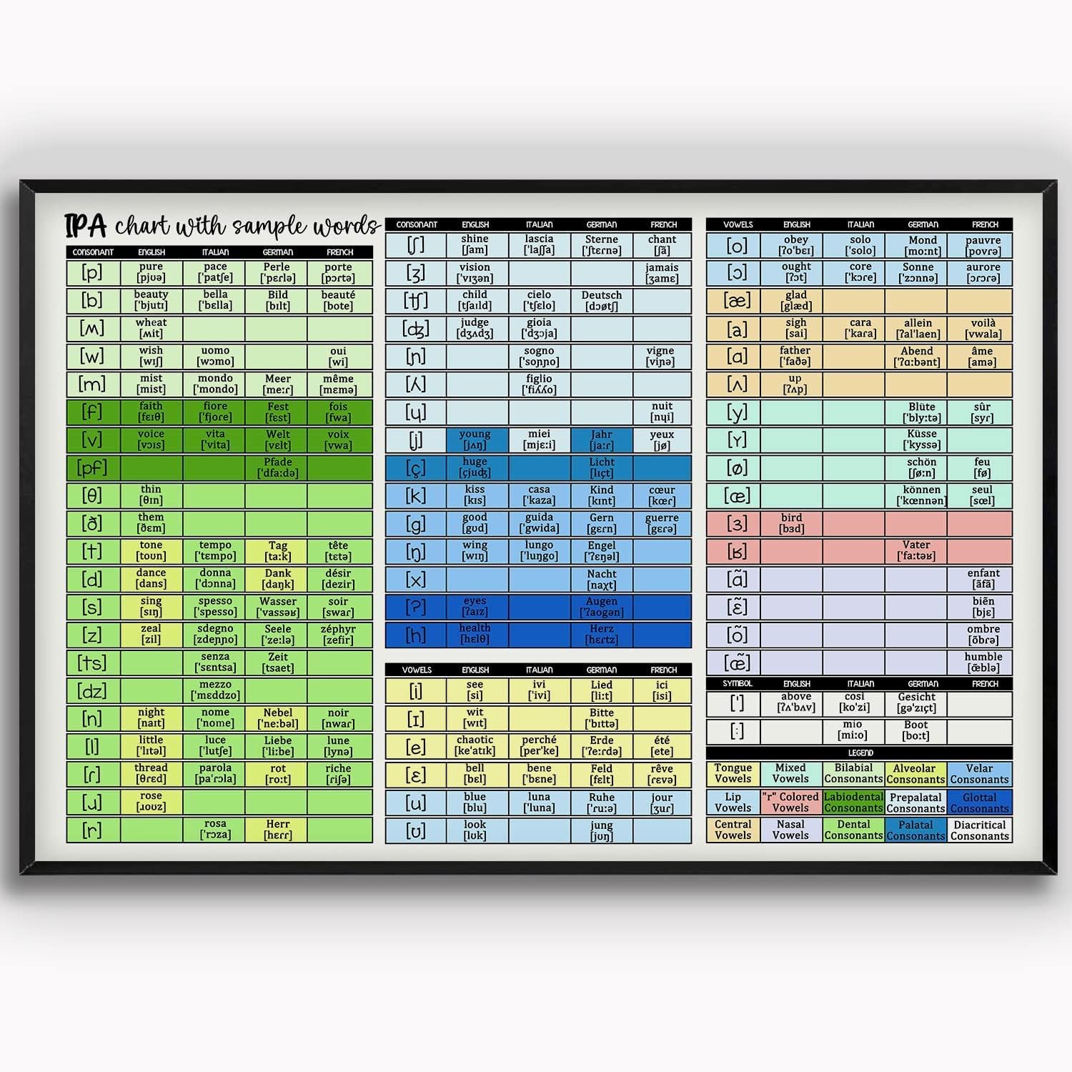 Ipa Knowledge Metal Tin Signs Wall Decor Ipa Chart With Sample Wotds ...