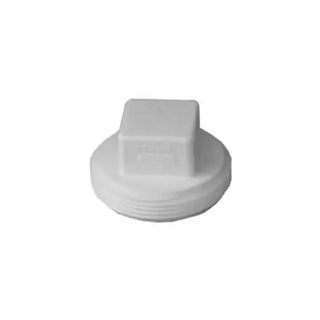 Ipex Canplas 193052S Cleanout Plug 2 Inch, Each - Walmart.com