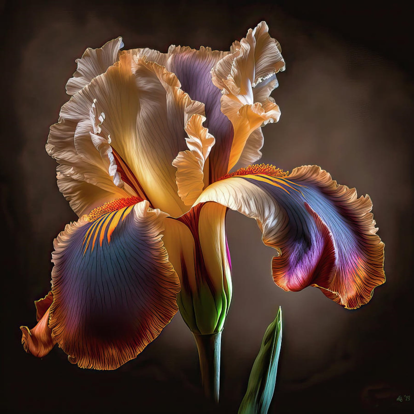 Iris Bulbs Planting Bulbs Ornamental Perennial Non-Artificial Herbs Hard-Resistant Garden Home ...