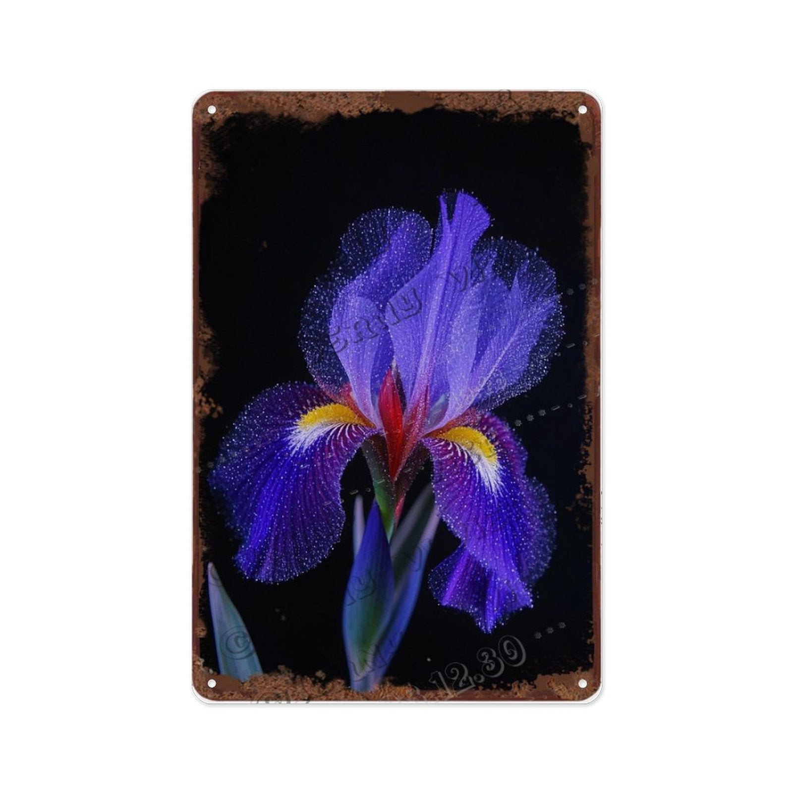 Iris Flower In The Black Background 12x16 Inch Metal Sign | Elegant ...