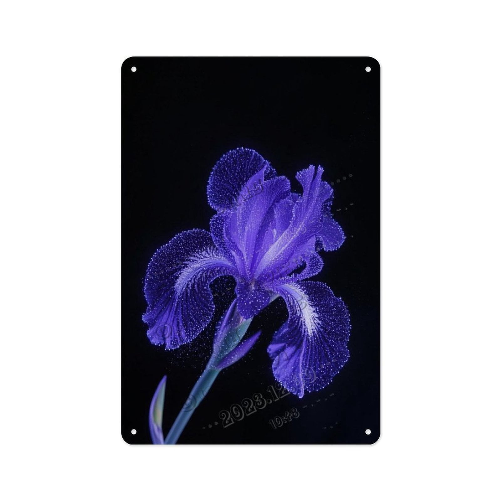 Iris Flower in the Black Background – 12x16 Vintage Tin Sign – Beautiful Floral Home Décor, Gift ...