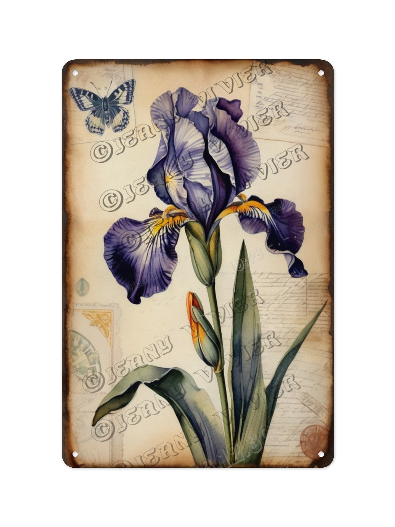 Iris Flower Vintage Metal Sign - Aluminum 8x12 Inches - Beautiful ...