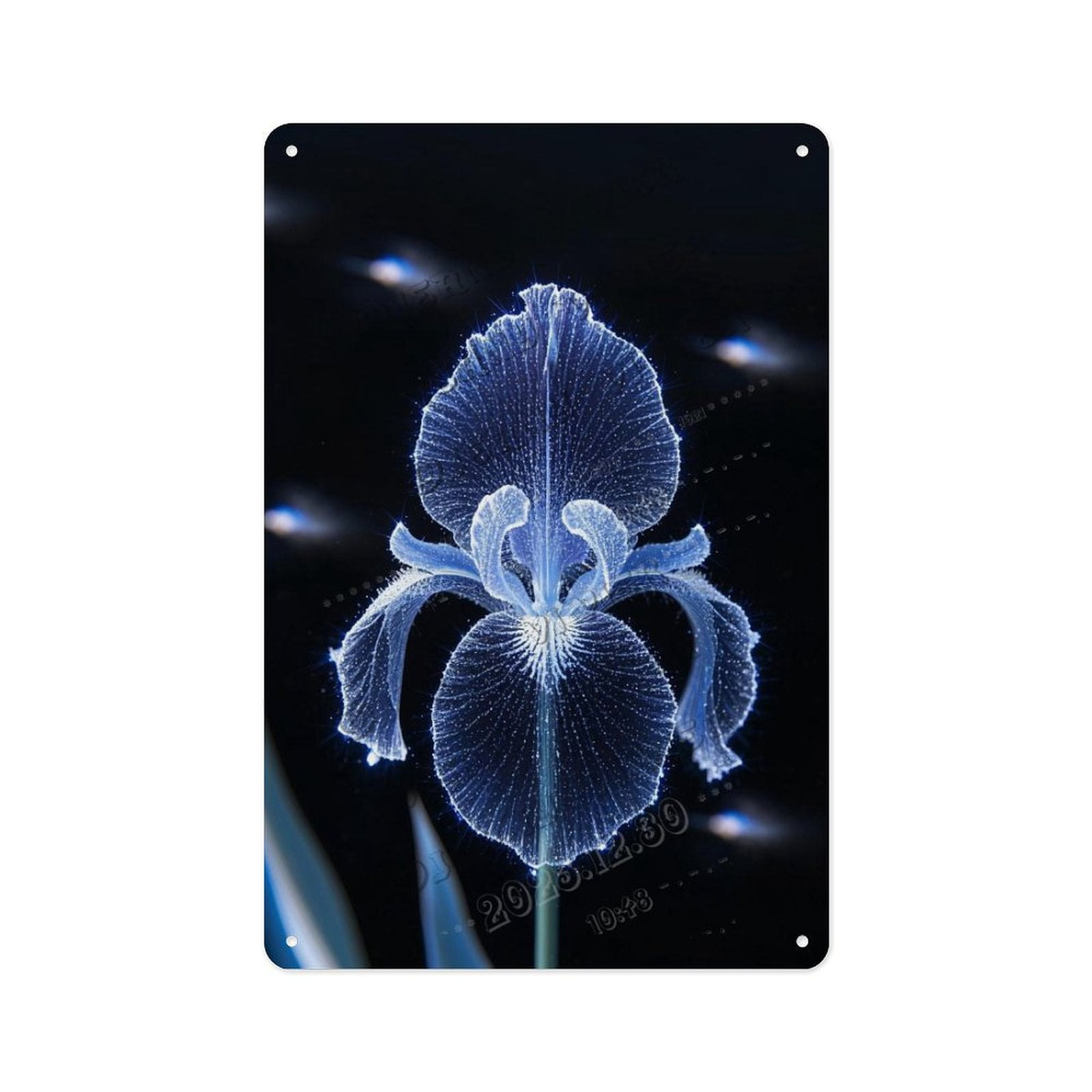 Iris Flower in the Black Background – 8x12 Tin Sign – Beautiful Flower ...