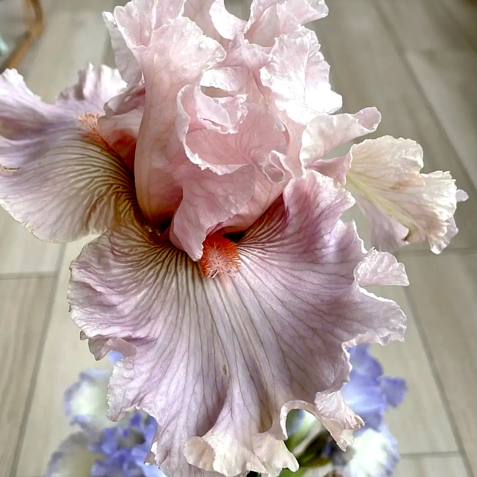 Iris-Interior and exterior decoration - Walmart.com