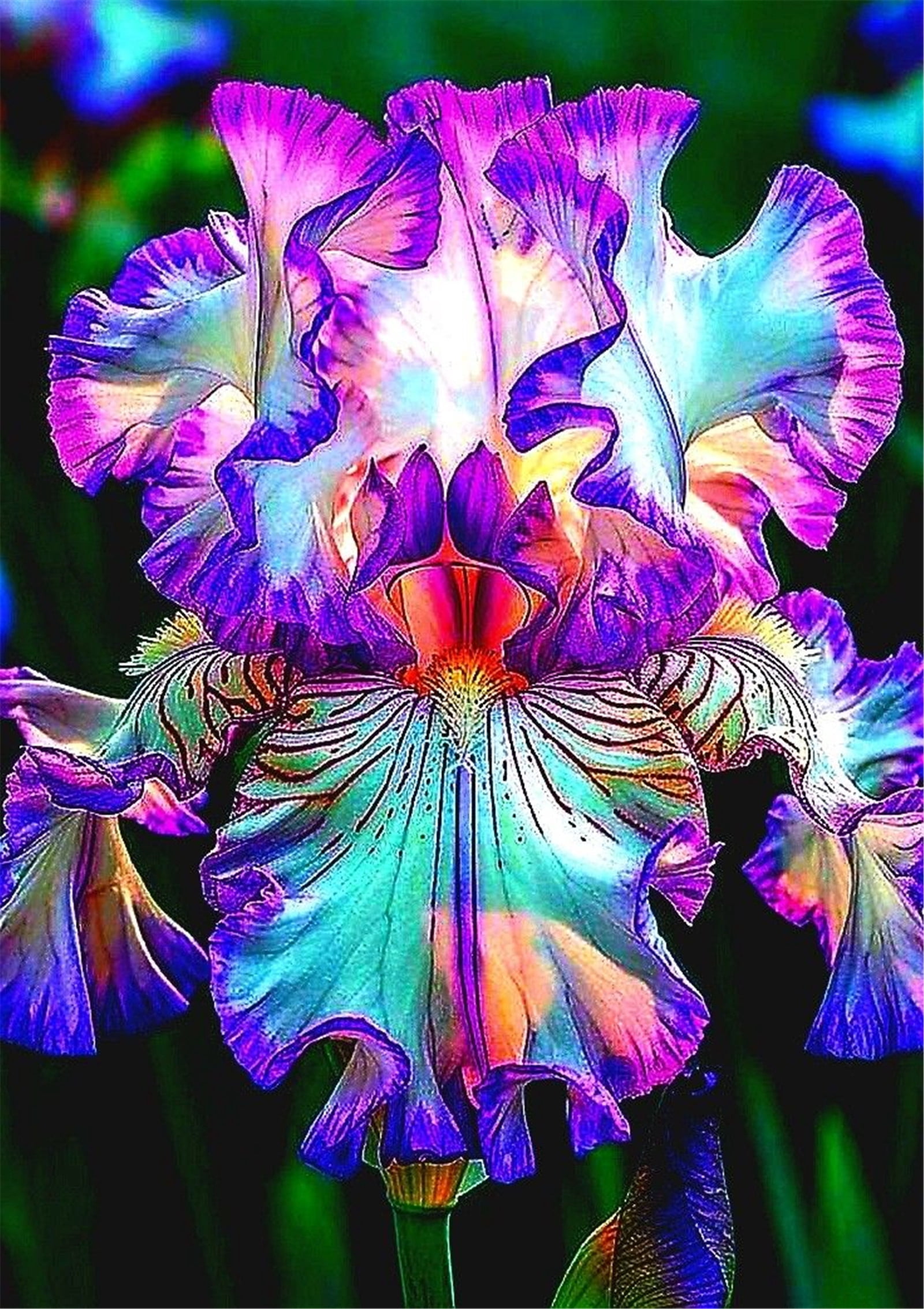 Iris-(Non-Artificial) -Ornamental-Premium Garden Stakes-Home Decoration ...