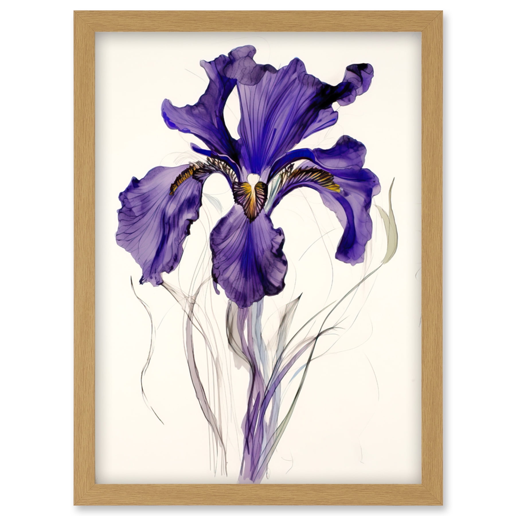 Iris Reticulata Watercolour Flower Bloom Drawing Artwork Framed Wall Art Print A4 - Walmart.com