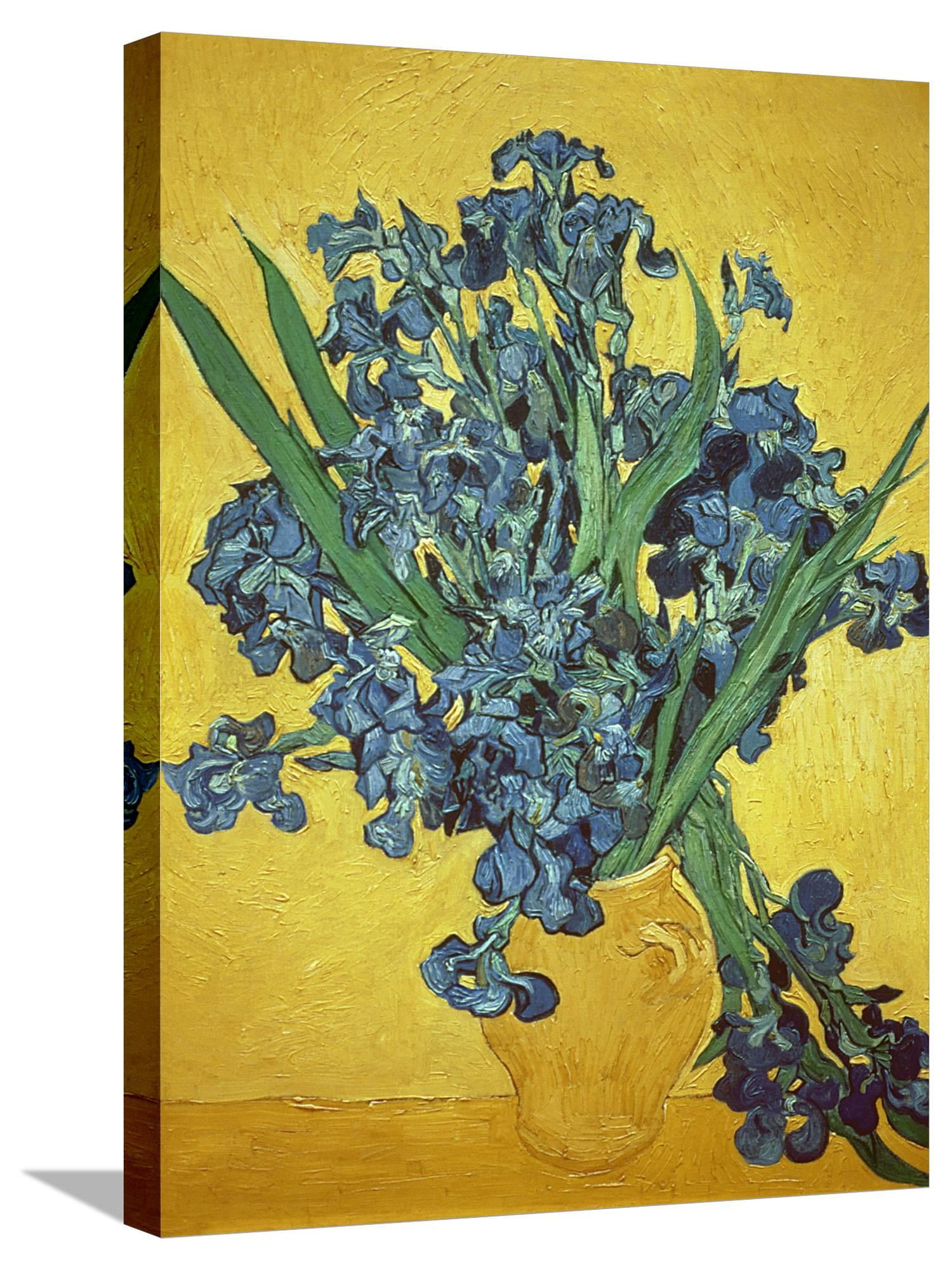 Art.com Iris Stretched Canvas Print Wall Art by Vincent van Gogh, 18" x ...