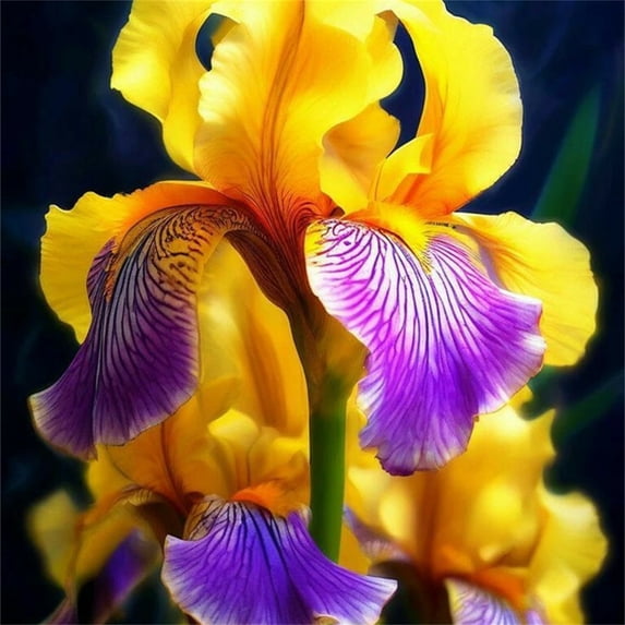 Iris for Planting-(Non-Artificial)-Easy Care & Quick Sprouting ...