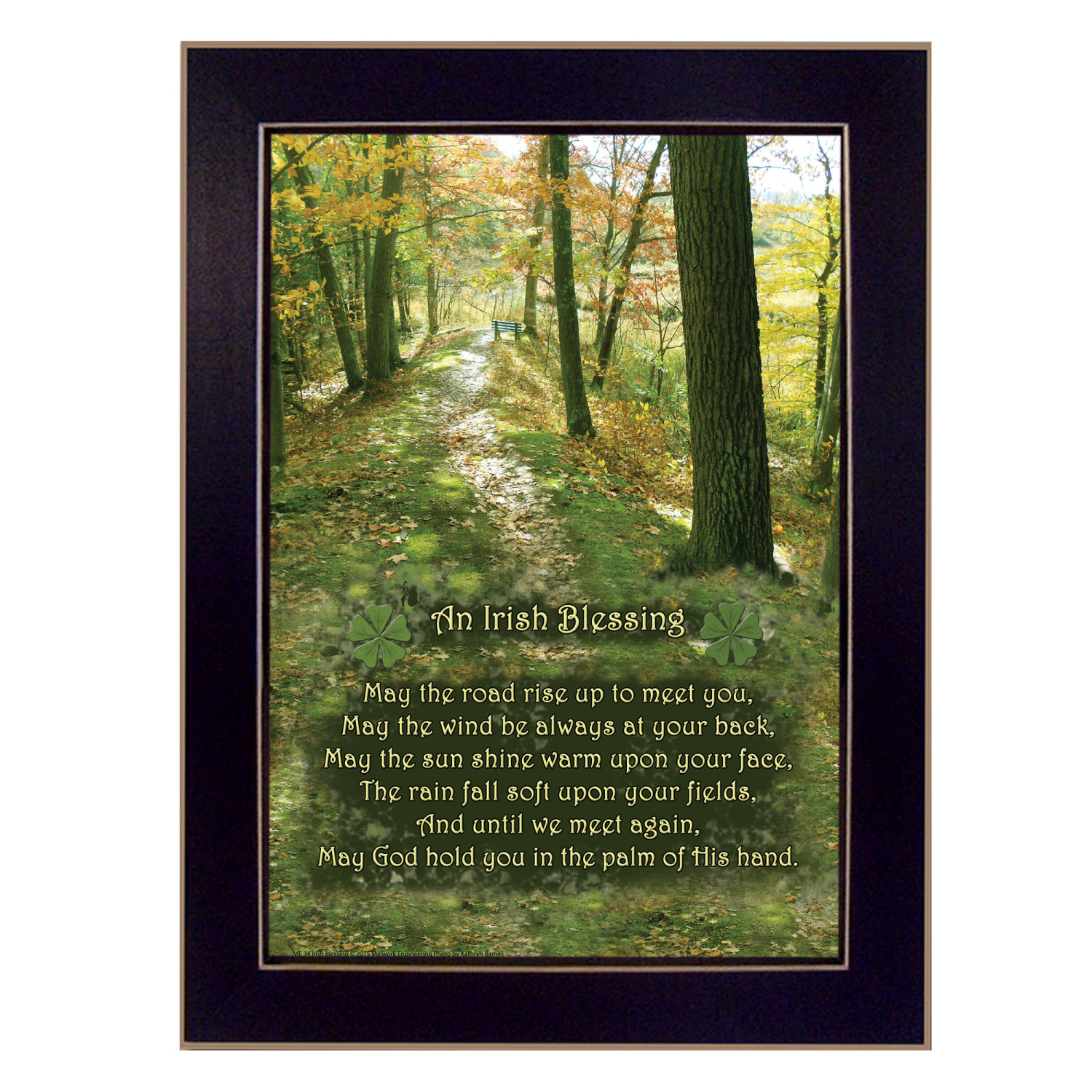 ”Irish Blessing” Framed Wall Art Print - Ready to Hang Poster - Trendy ...