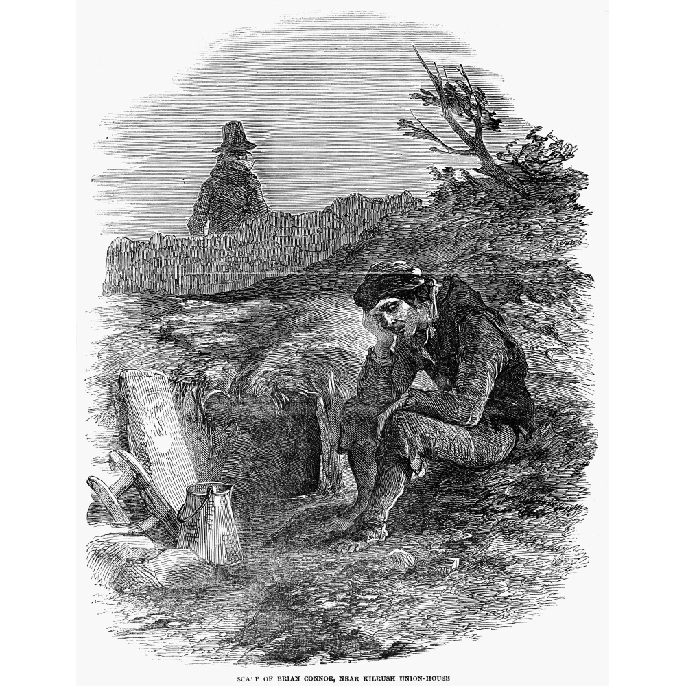 Irish Potato Famine 1846-7. N'Scarp Of Brian Connor Near Kilrush Union ...