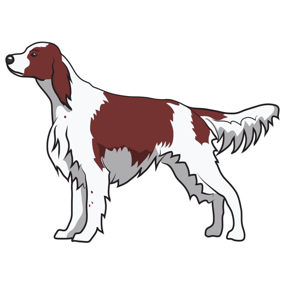 Irish Red And White Setter Decal | Indoor/Outdoor | Dog Lover Super ...