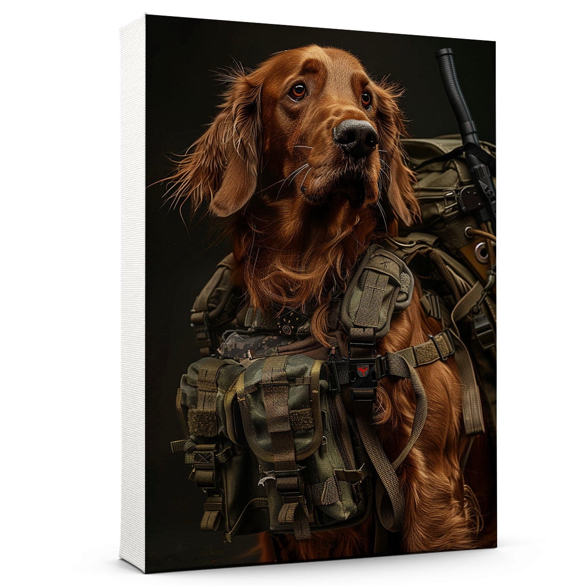Irish Redand White Setter Dog in a Costume Poster Unframe, Irish Redand ...