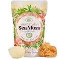 Irish Sea Moss | Makes 40oz of Gel | Gold Sea Moss | Organic Sea Moss ...