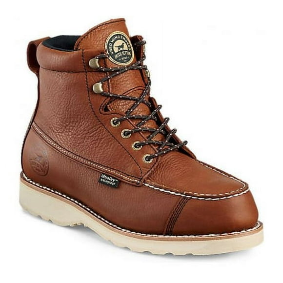 Red Wings Irish Setter