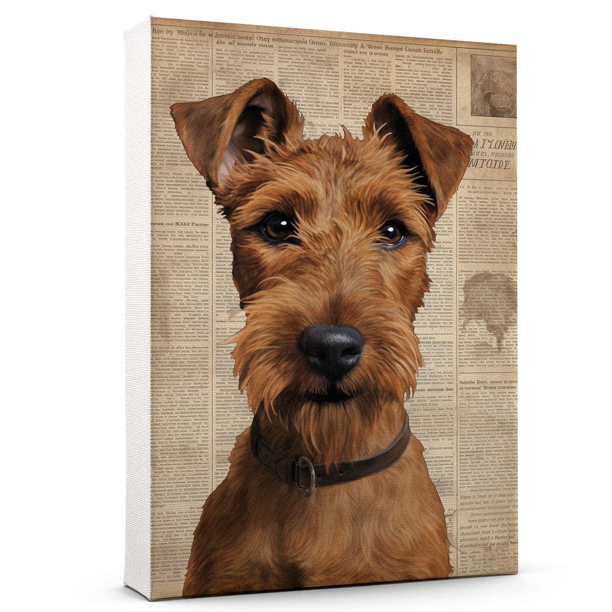 Irish Terrier Dog Read Newspapers Sitting Poster Prints on Canvas ...