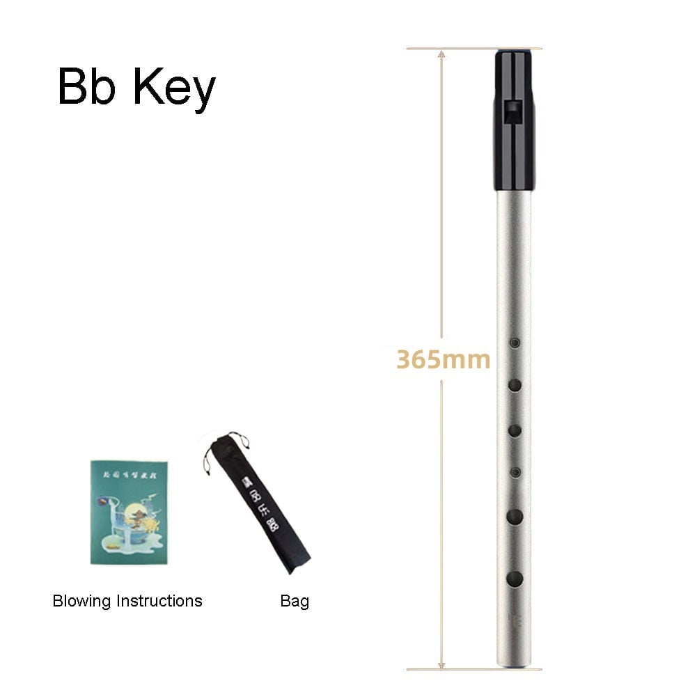 Irish Whistle Flute C D Bb Key 6Hole Ireland Tin Penny Flute For ...