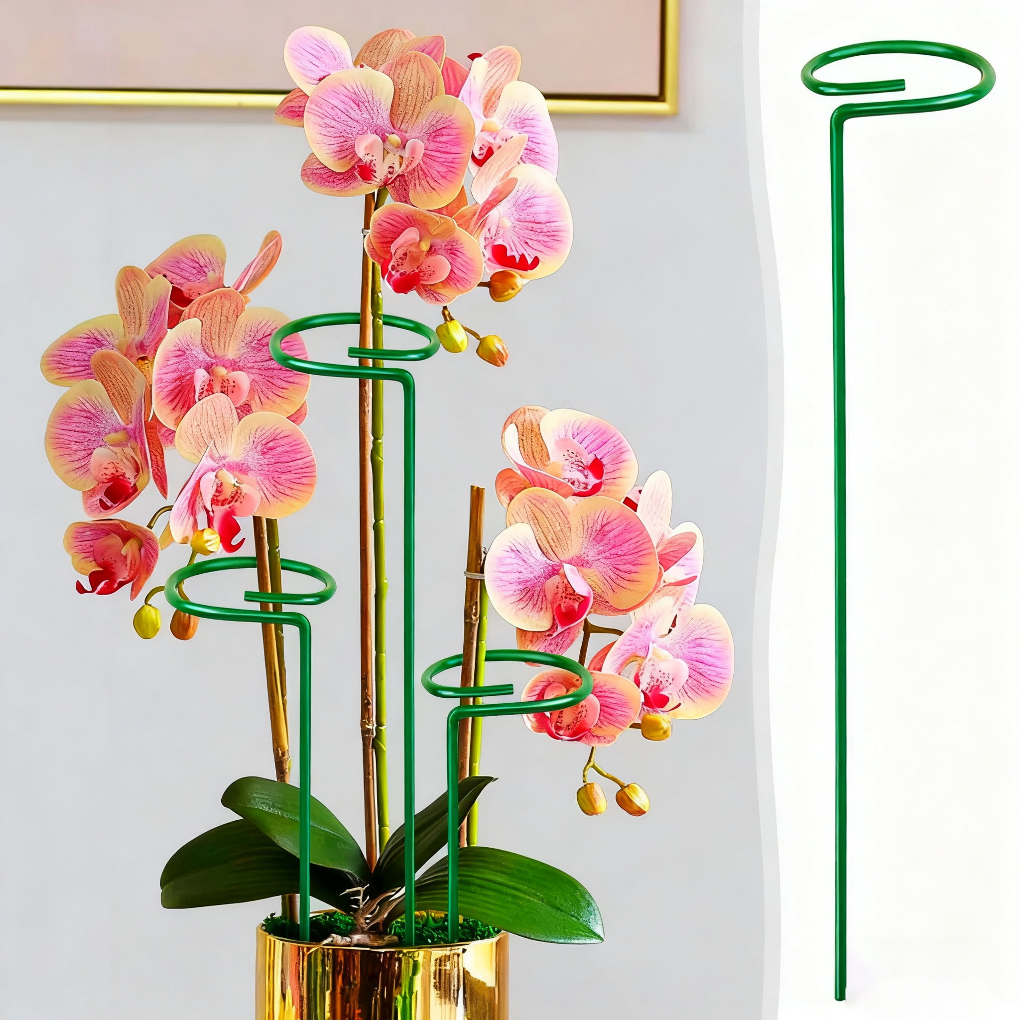 Iron Climbing Flower Pot Frame Fixed Support Pole Adjustable Bracket ...